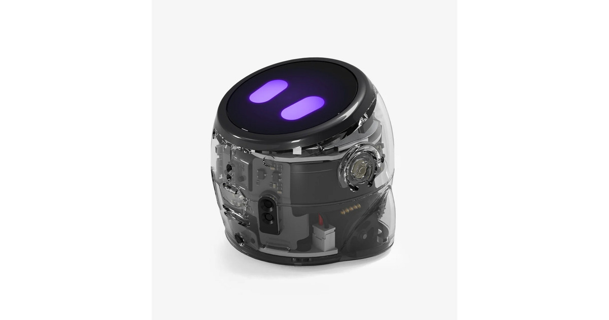 Ozobot Ari Entry Kit Robot