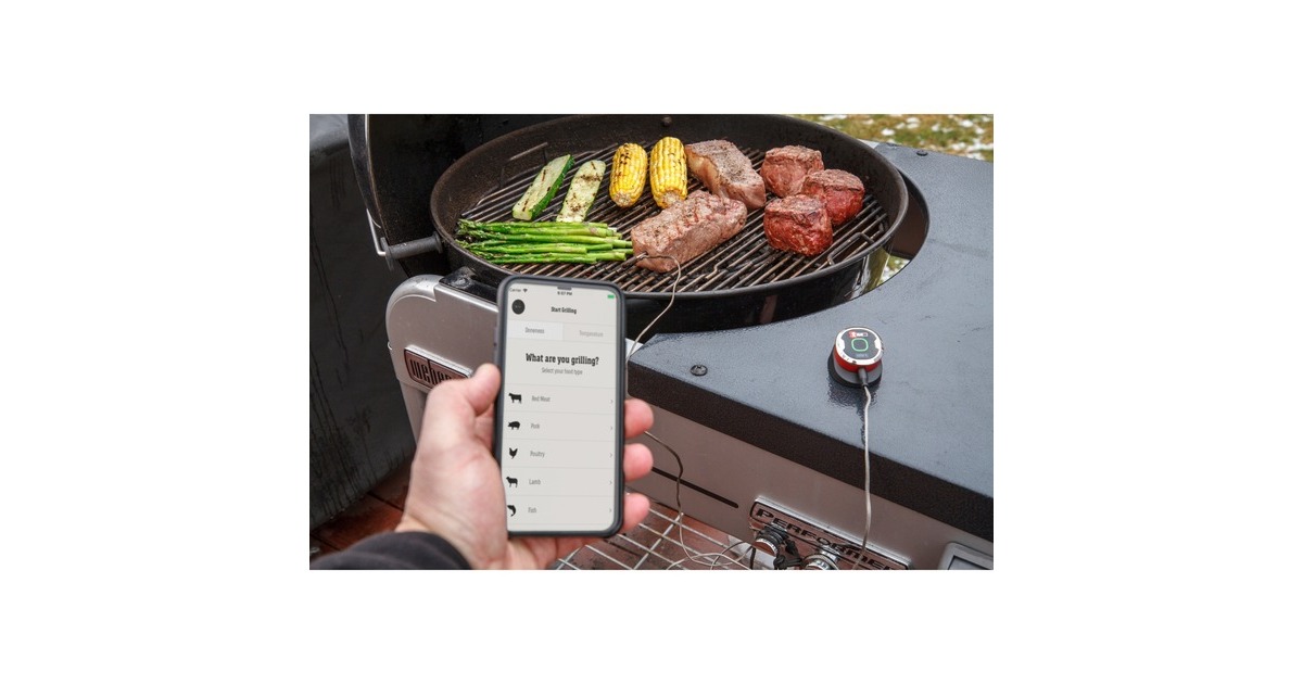 Weber iGrill mini thermometer