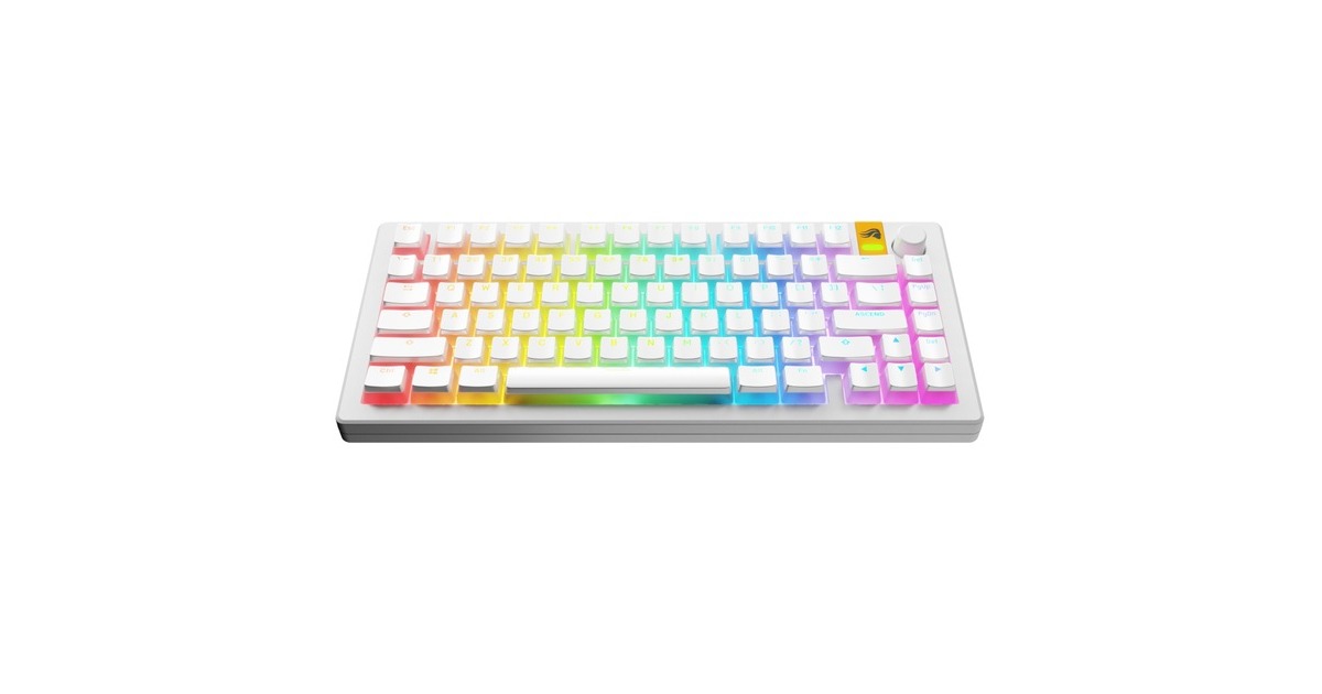 Glorious Aura V3 RGB Keycaps Wit, Pudding-style keycaps, Double Shot ...