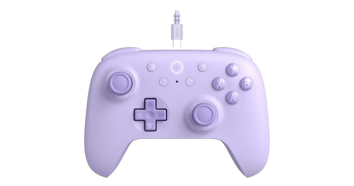 8BitDo Ultimate 2C Wired gamepad Lila