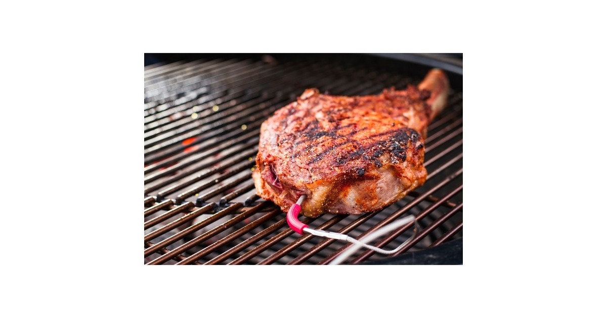Weber Vlees Temperatuur Sensor thermometer