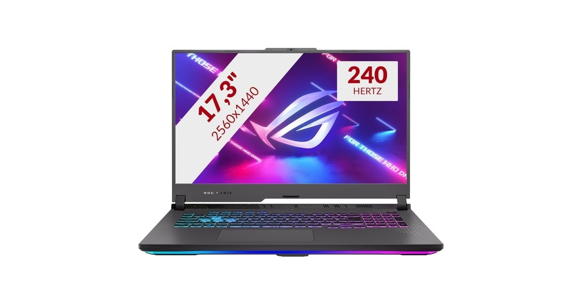 ASUS ROG Strix 17 G713PI-LL131W 17.3" gaming laptop Grijs | R9 7940HX ...