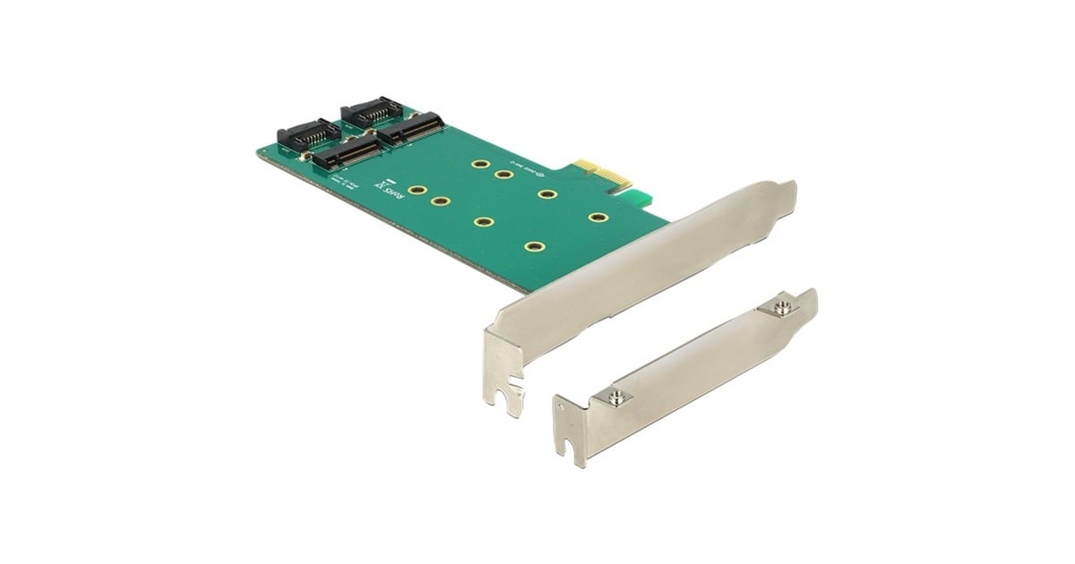 DeLOCK PCI Express Card > 2 x internal M.2 Key B 110 mm - Low Profile ...