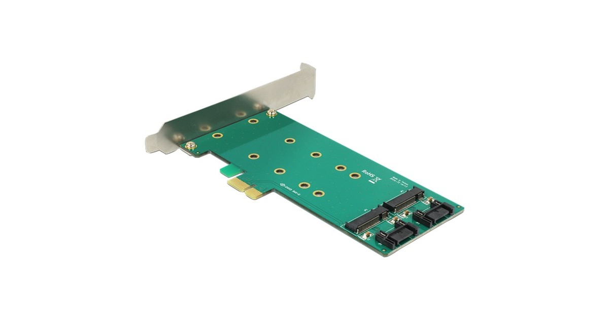DeLOCK PCI Express Card > 2 x internal M.2 Key B 110 mm - Low Profile ...