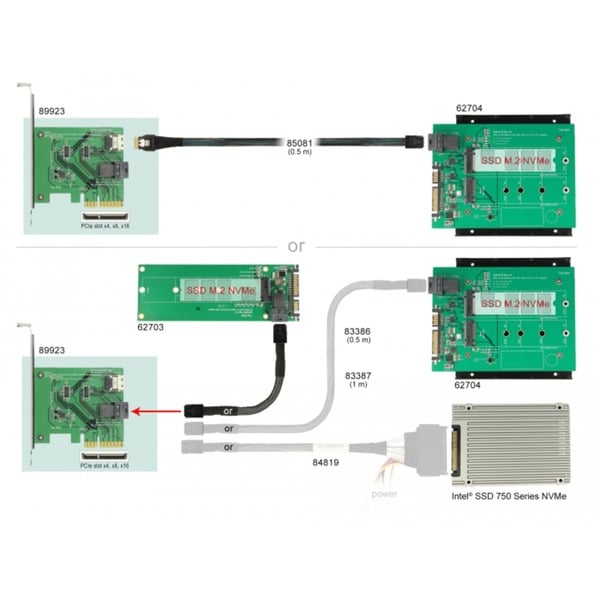 DeLOCK PCI Express x4 Card U.2 NVMe naar 1 x internal SFF-8654 4i + 1 x ...